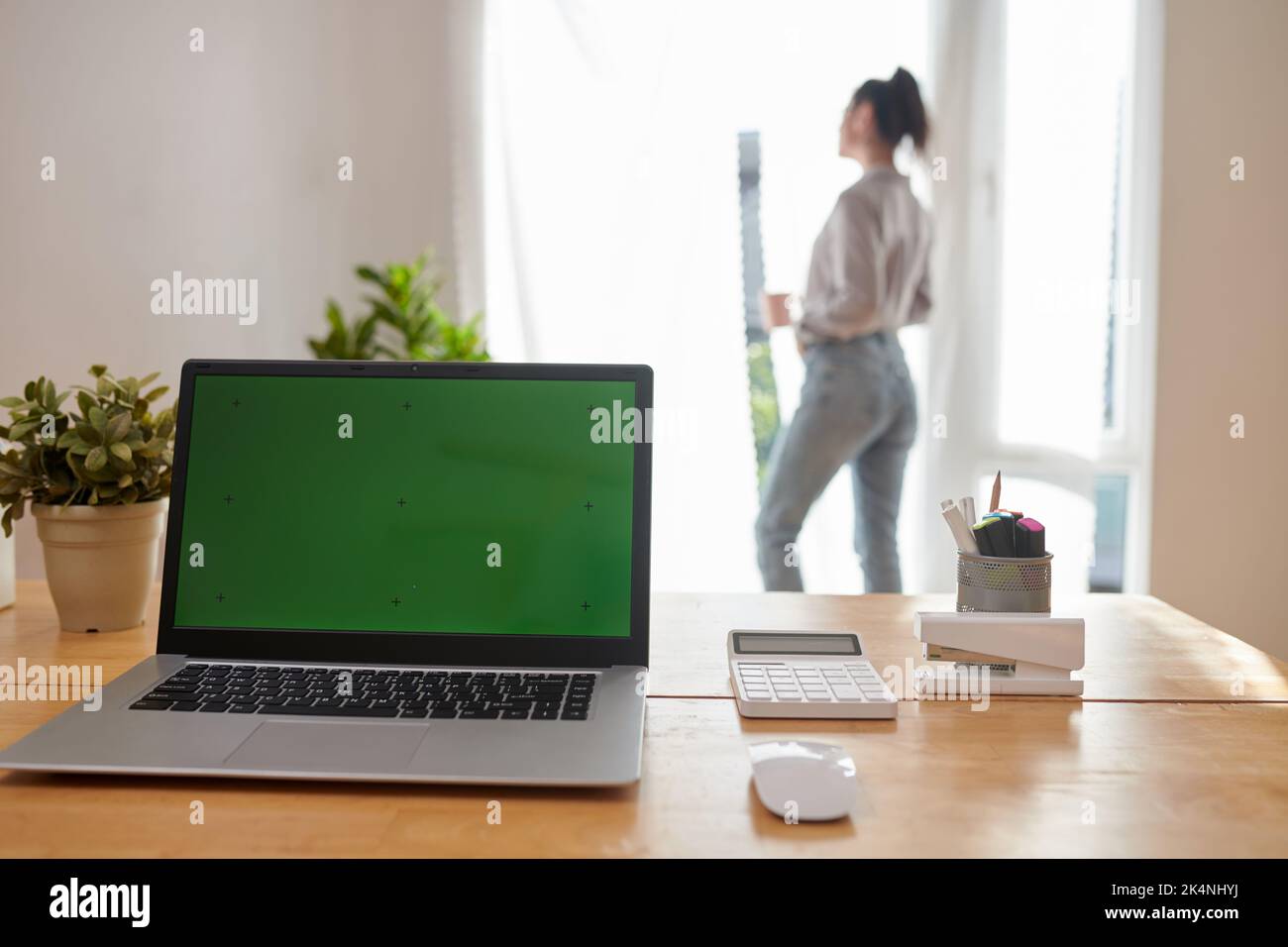 Laptop with blank green screen standing on workplace of software ...