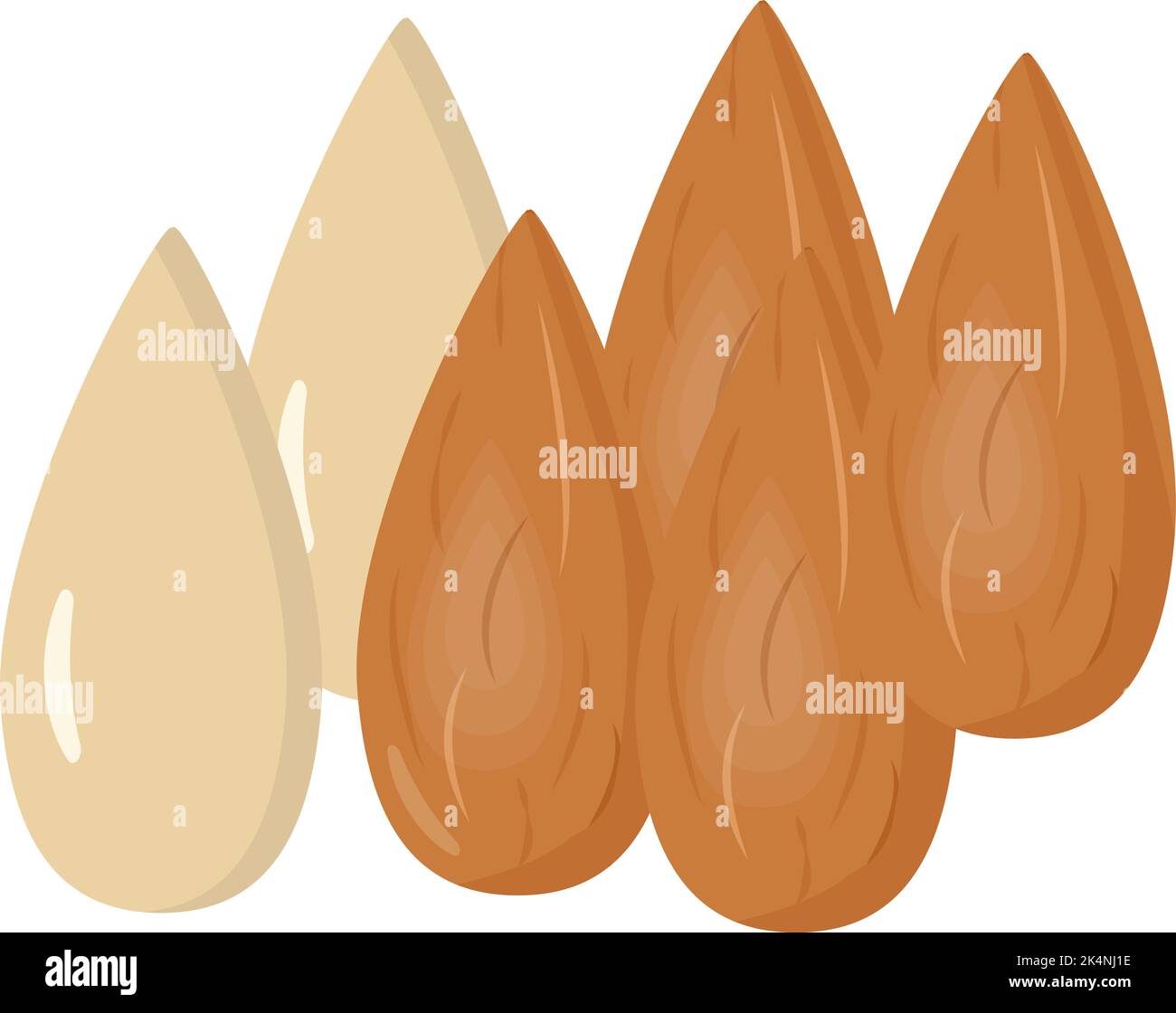 Nuts raw Stock Vector Images - Alamy