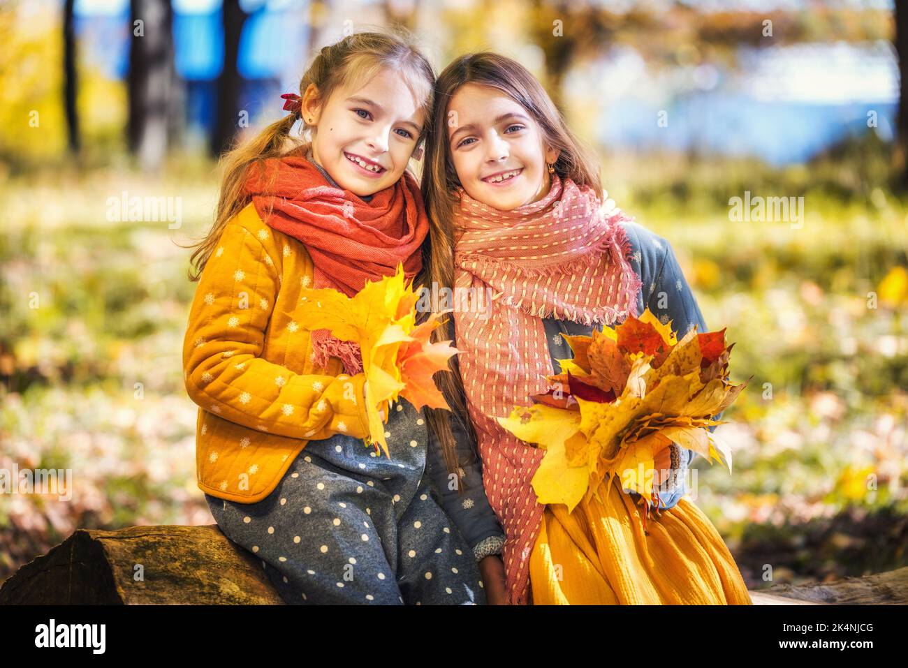 Two cute smiling 8 years old girls posing together in a park on a sunny ...