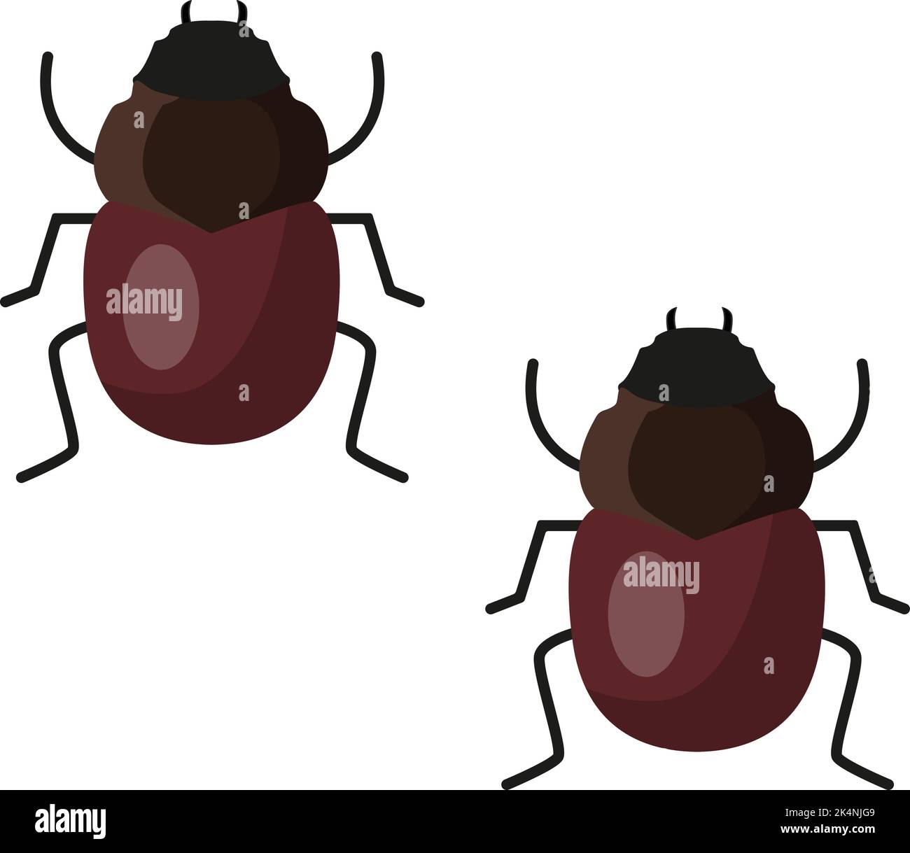 Two beetles, illustration, vector on a white background Stock Vector ...