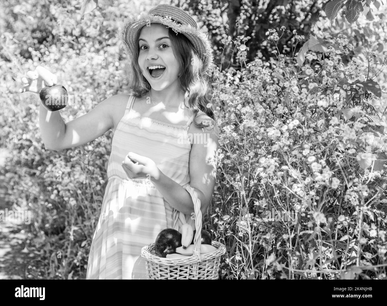 Apple a day. Happy child pick apple crops in garden. Healthy food and ...
