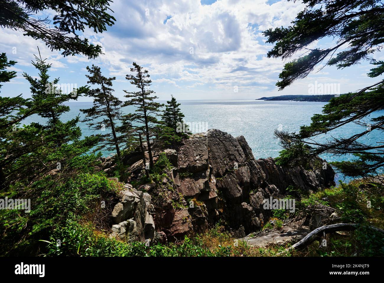 View of the Cutler Coast, Maine Stock Photo - Alamy