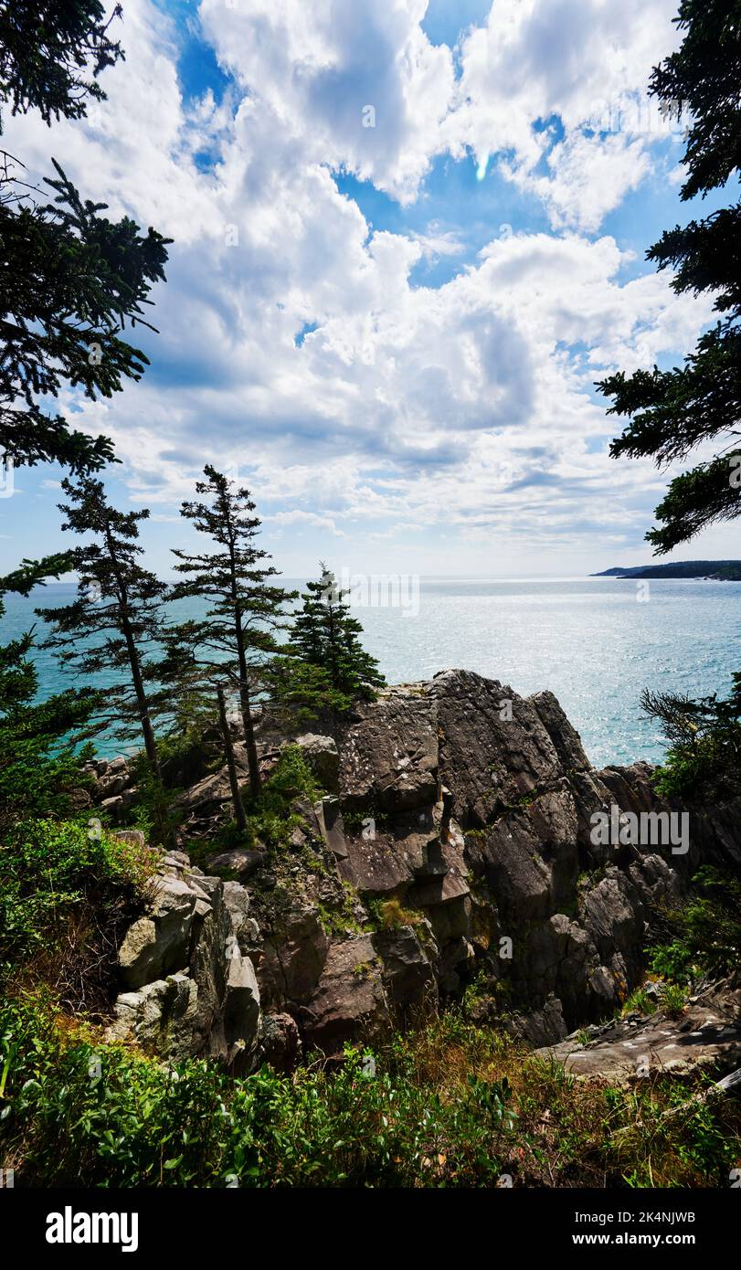 Cutler coast trail hi-res stock photography and images - Alamy
