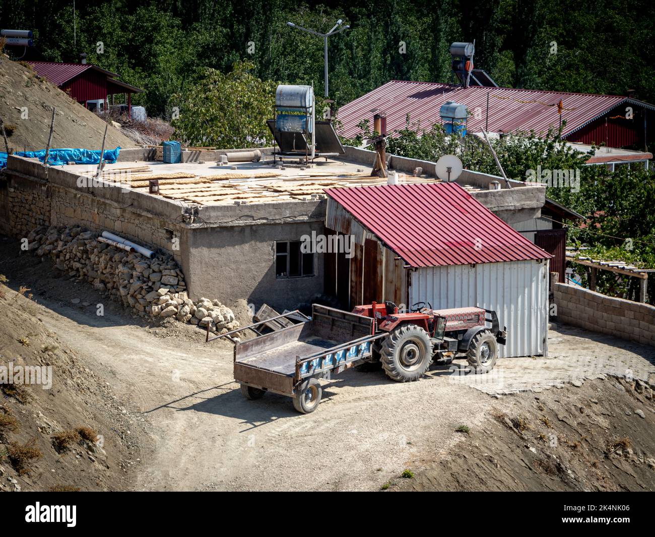 Turkish walnut trees hi-res stock photography and images - Alamy