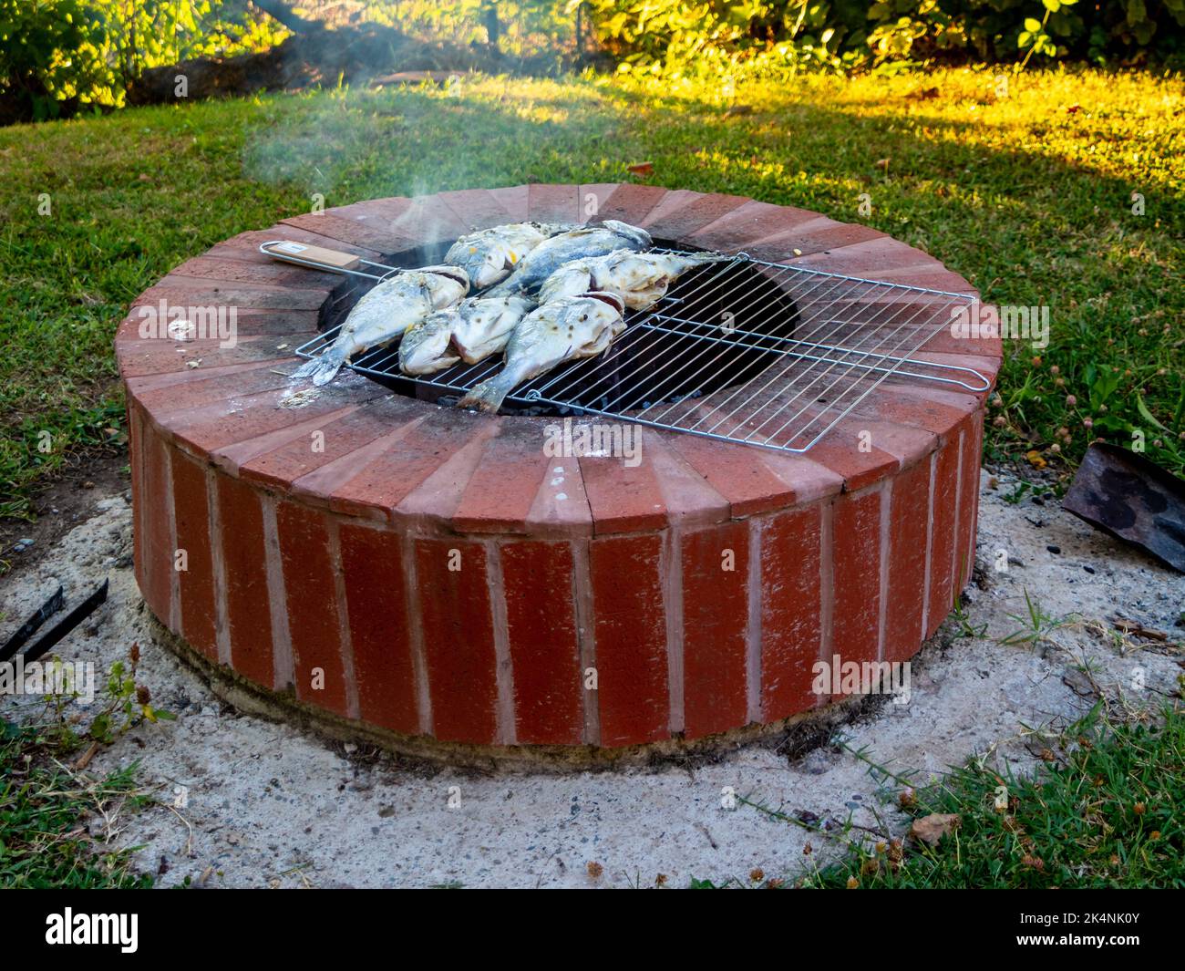Red fire fish hi-res stock photography and images - Alamy