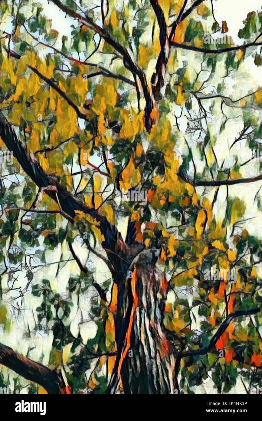 Illustration of a great oak tree in the woods on a spring afternoon in ...