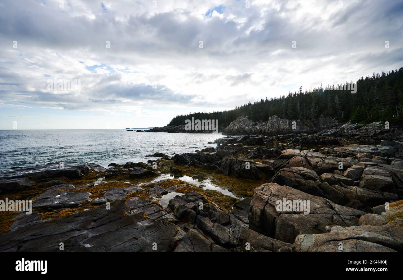 View of the Cutler Coast, Maine Stock Photo - Alamy