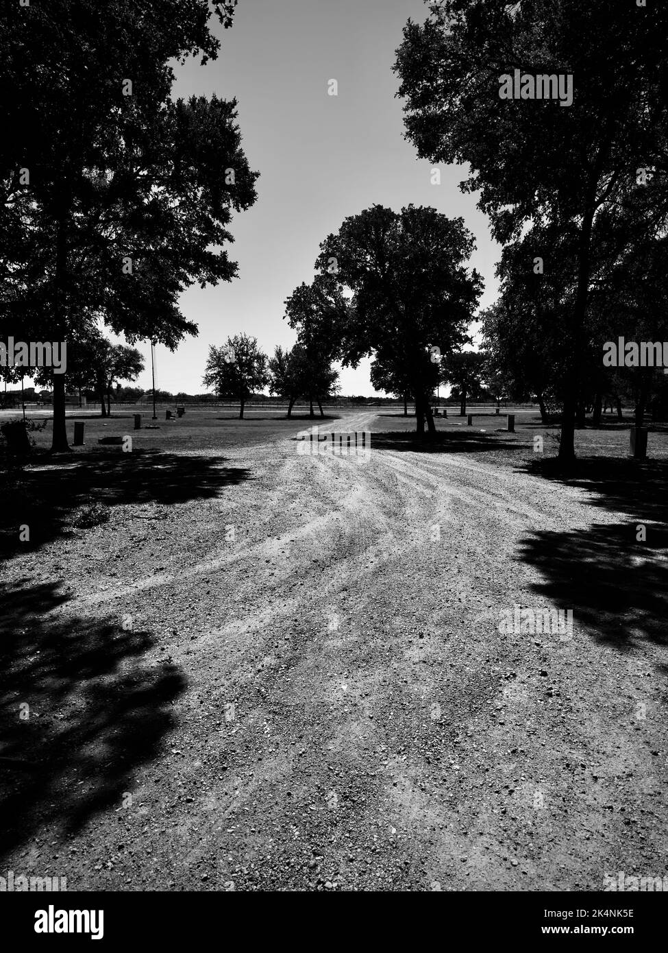 A vertical grayscale of a park in Brady with trees and dusty path Stock ...