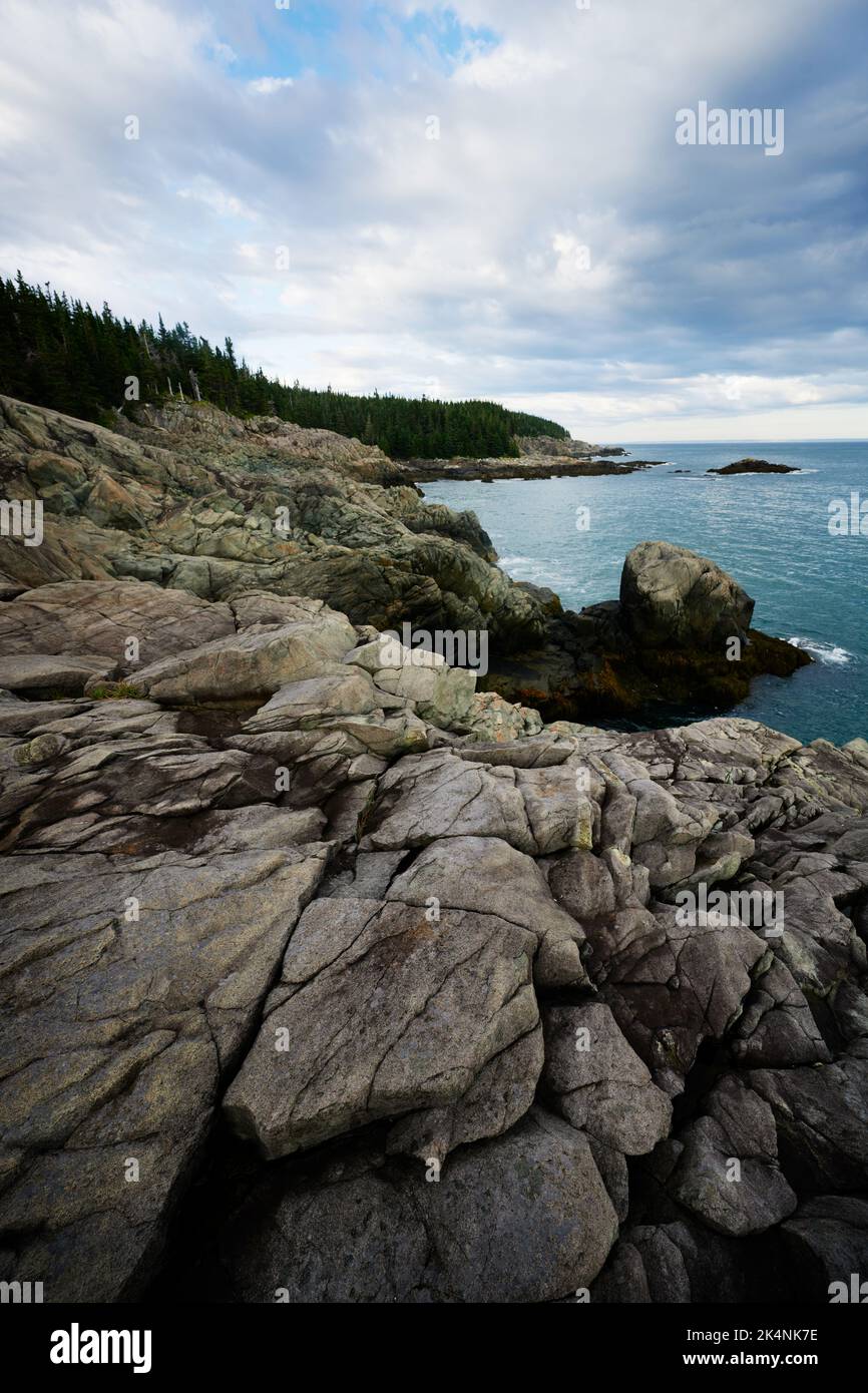 Cutler coast trail hi-res stock photography and images - Alamy