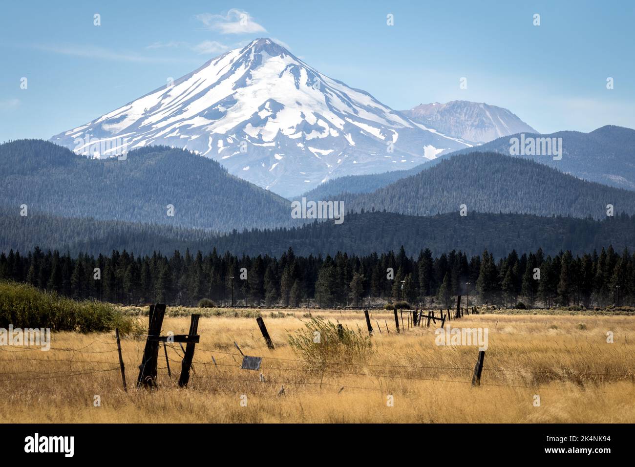 A Gifford Pinchot national forest view with a yellow field and snowy ...