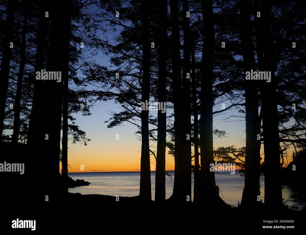 View of the sunrise from the Culter coast trail, Maine Stock Photo - Alamy