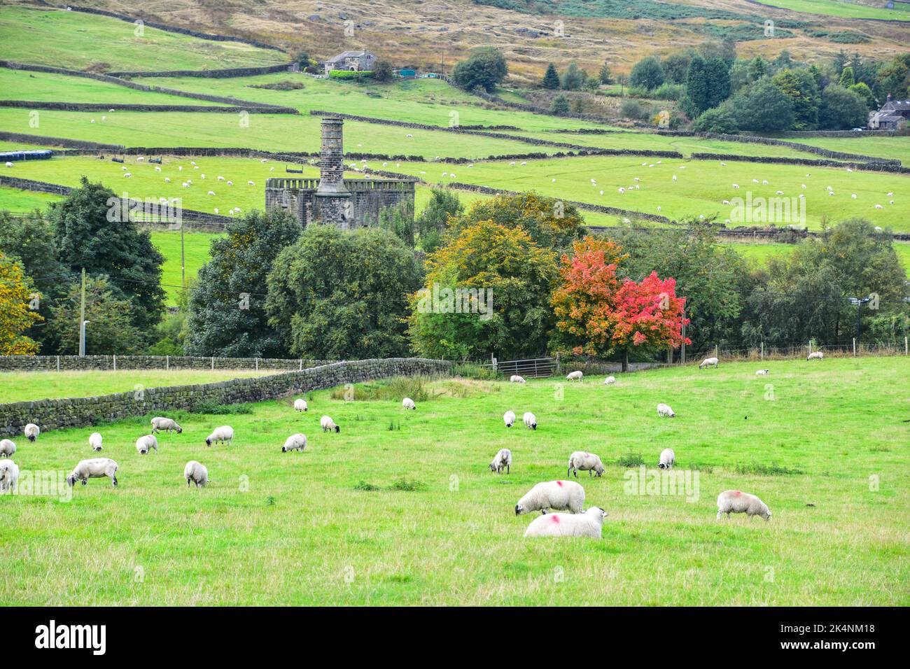 Lumbutts hi-res stock photography and images - Alamy