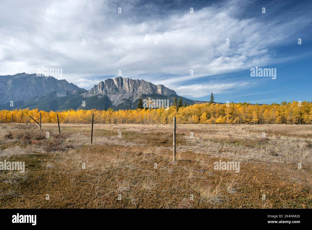Barbed wire fence with autumn aspen trees and Mount Yanmuska in the ...
