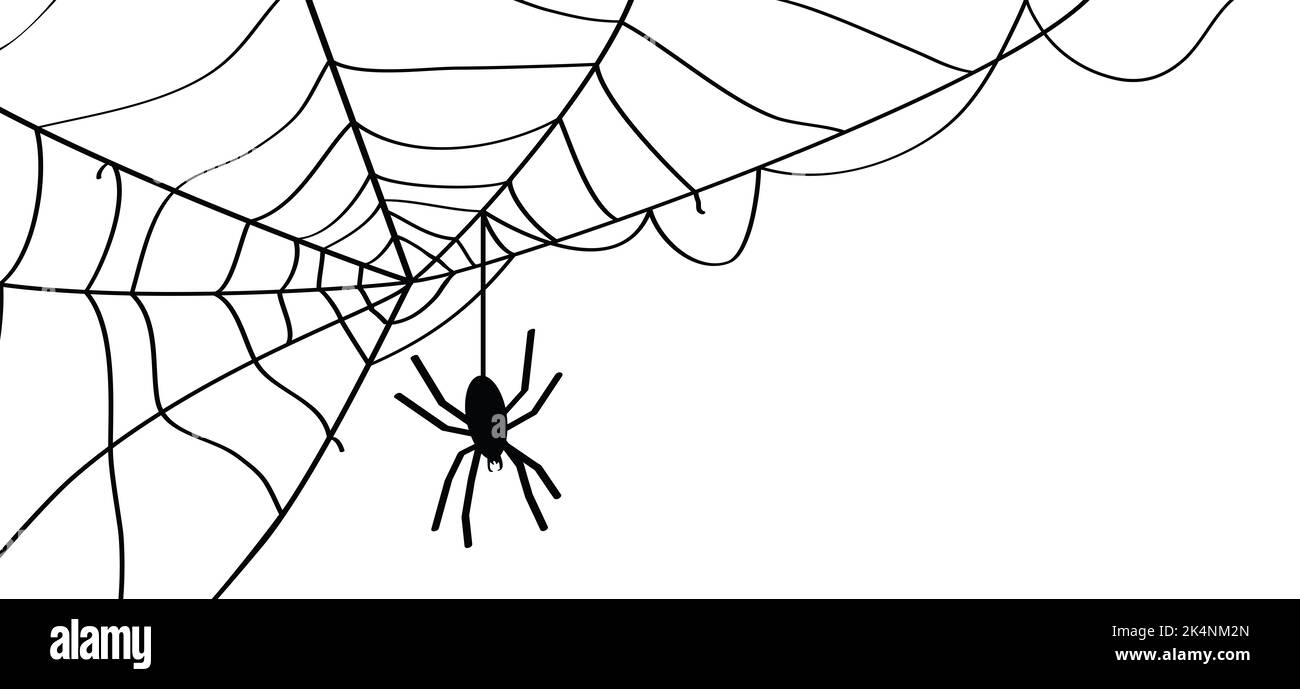 Cartoon spider web for happy halloween party, october. Flat vector ...