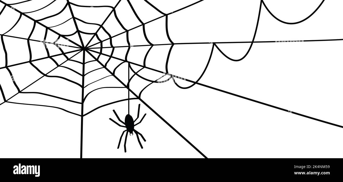 Cartoon spider web for happy halloween party, october. Flat vector ...