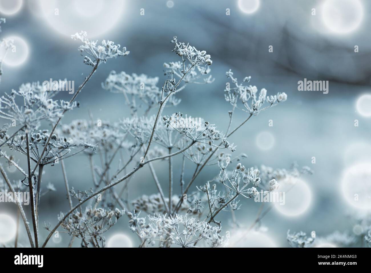 Beautiful winter landscape with Girskiy Tikych river running through ...
