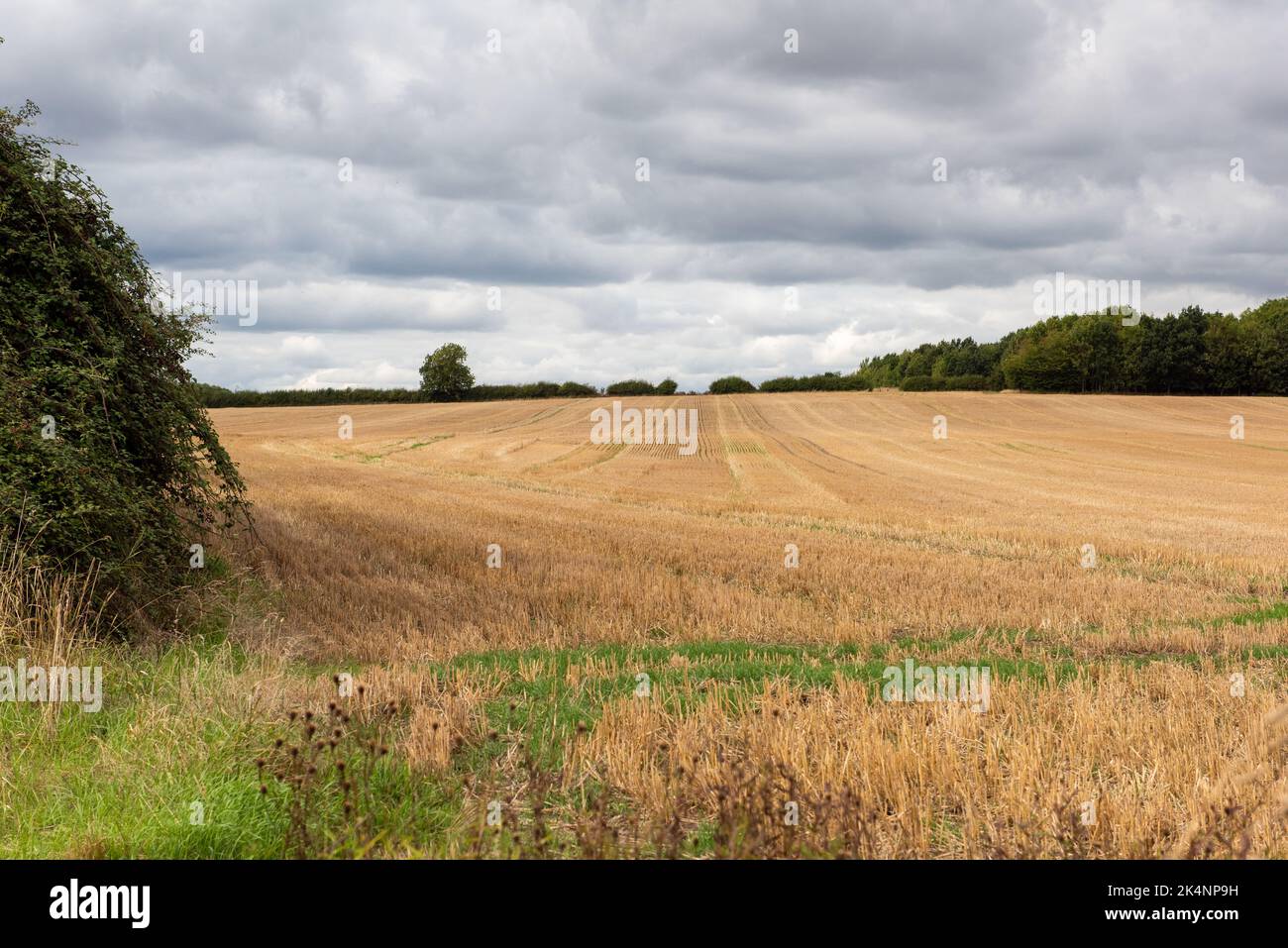 Rolling clouds hi-res stock photography and images - Alamy