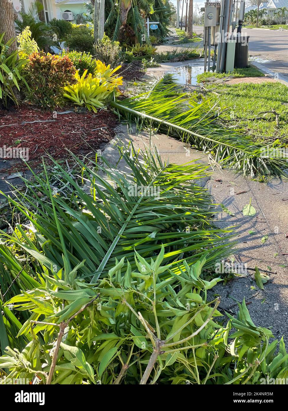 Hurricane IAN aftermath cleanup Stock Photo - Alamy