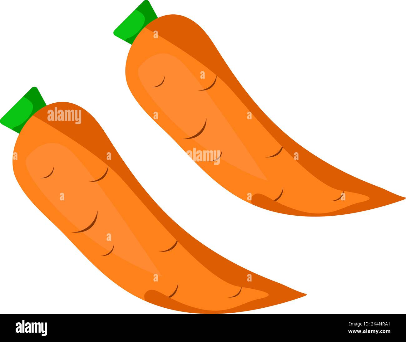 Two carrots, illustration, vector on a white background Stock Vector ...