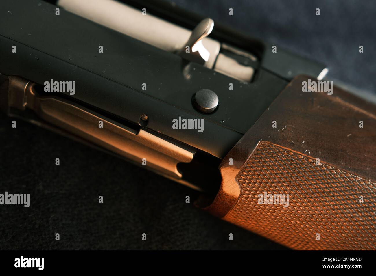 Closeup shotgun shutter. Hunting semi-automatic shotgun with wooden ...