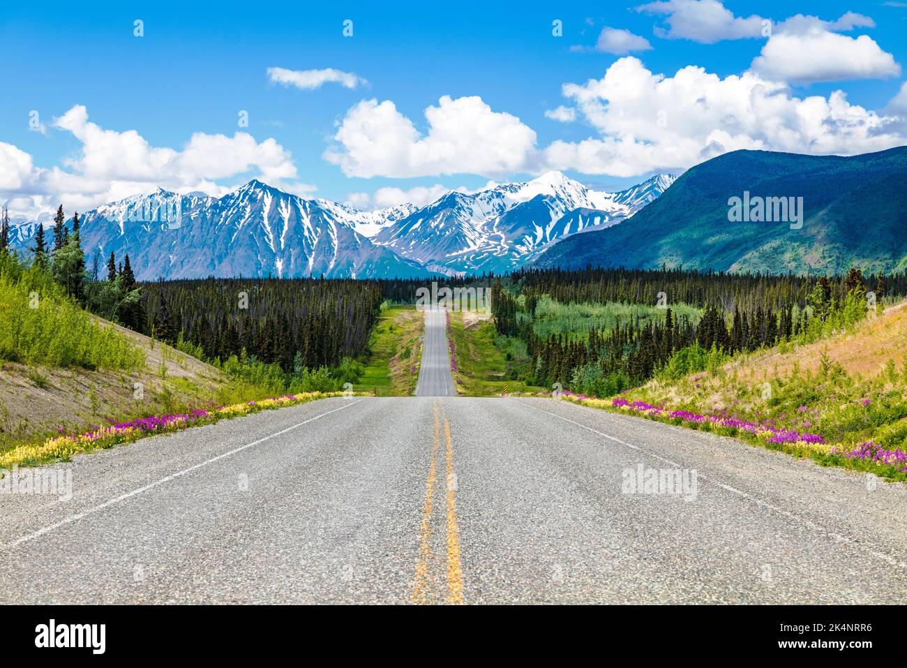 View west of Saint Elias Mountains; Kluane National Park & Preserve ...