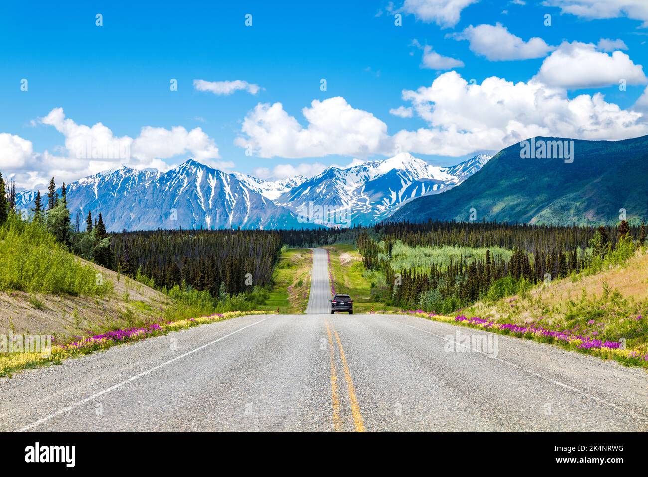View west of Saint Elias Mountains; Kluane National Park & Preserve ...