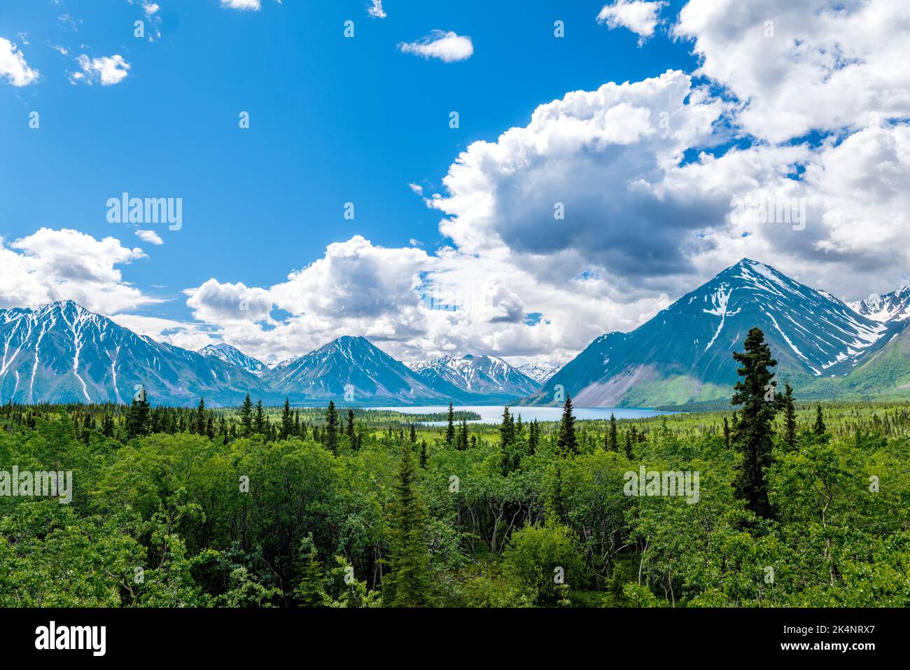 View west of Saint Elias Mountains; Kluane National Park & Preserve ...