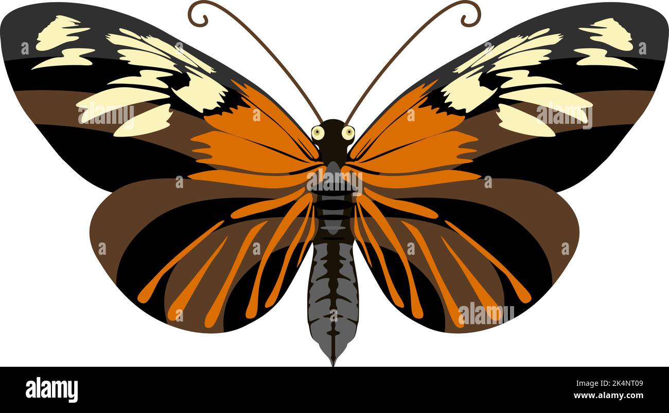 Pretty butterfly flying Stock Vector Images - Alamy