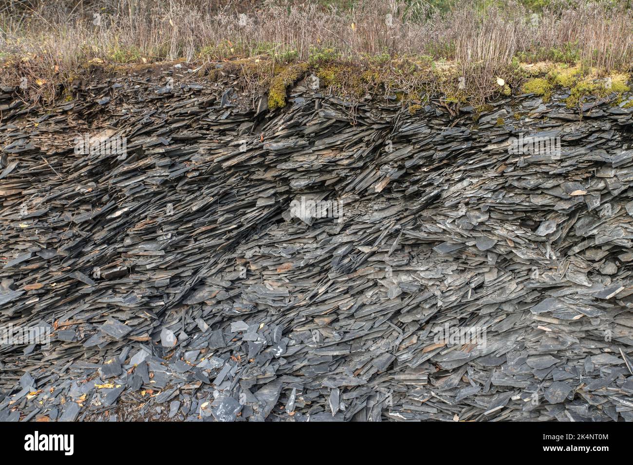 Feuilleté de schiste Stock Photo - Alamy