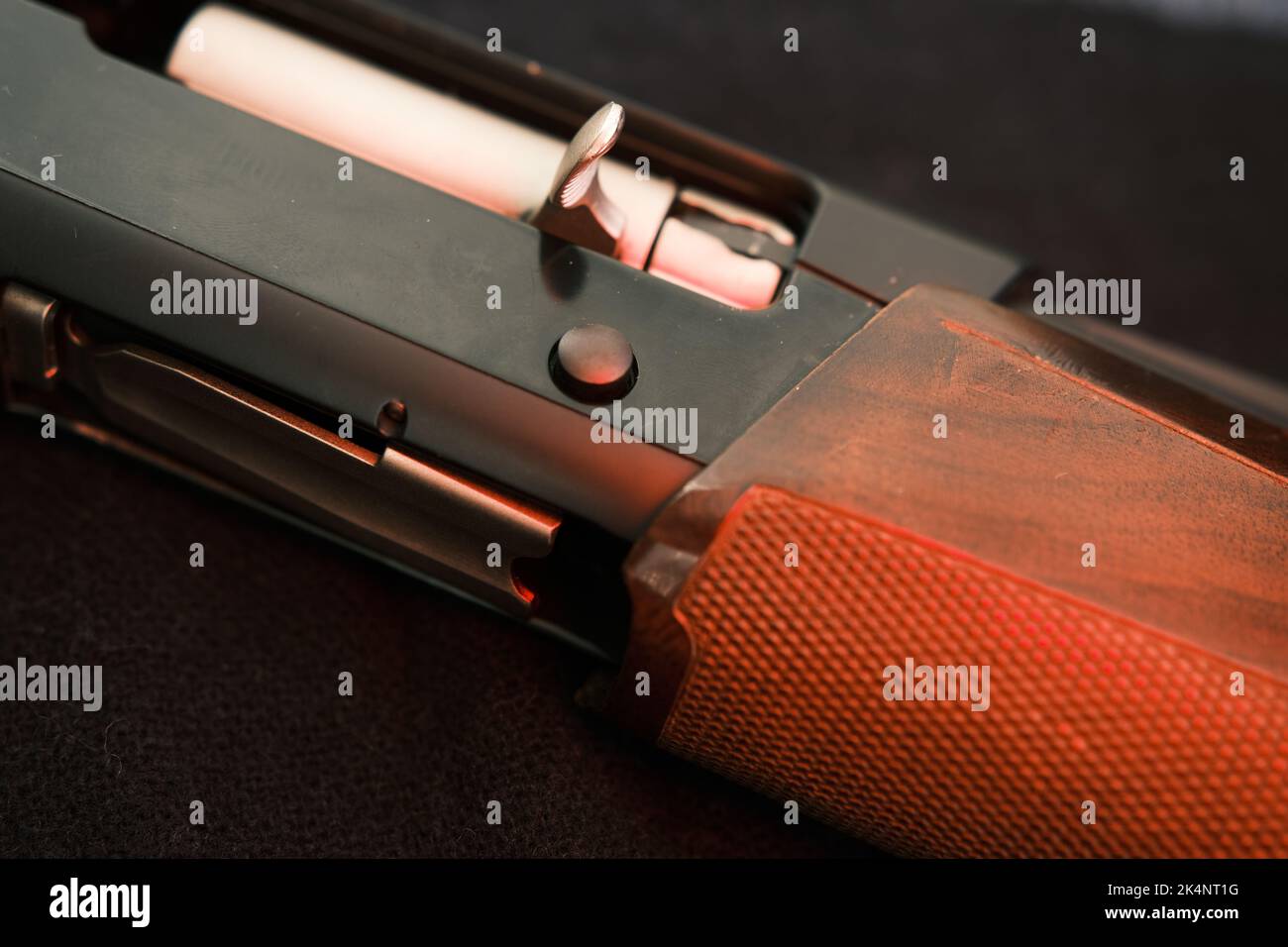 Closeup shotgun shutter. Hunting semi-automatic shotgun with wooden ...