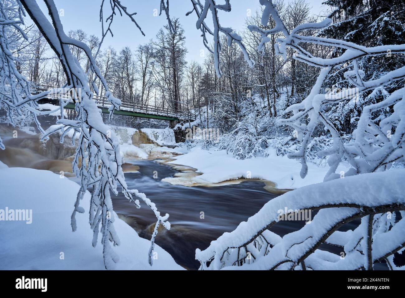 A long exposure shot of a river flowing in a forest with trees covered ...