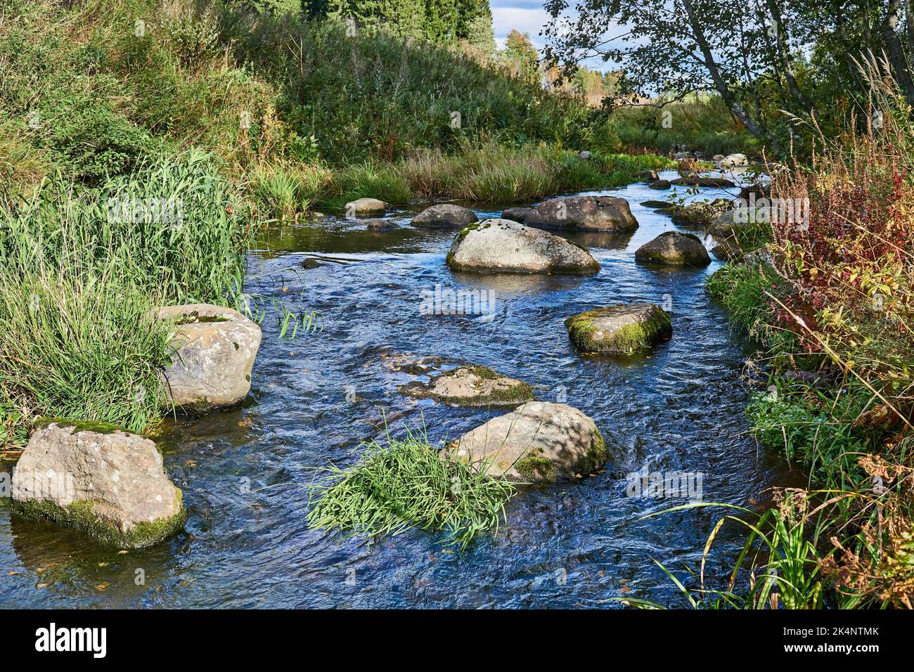 A river flowing through mossy stones in a forest under a blue cloudy ...