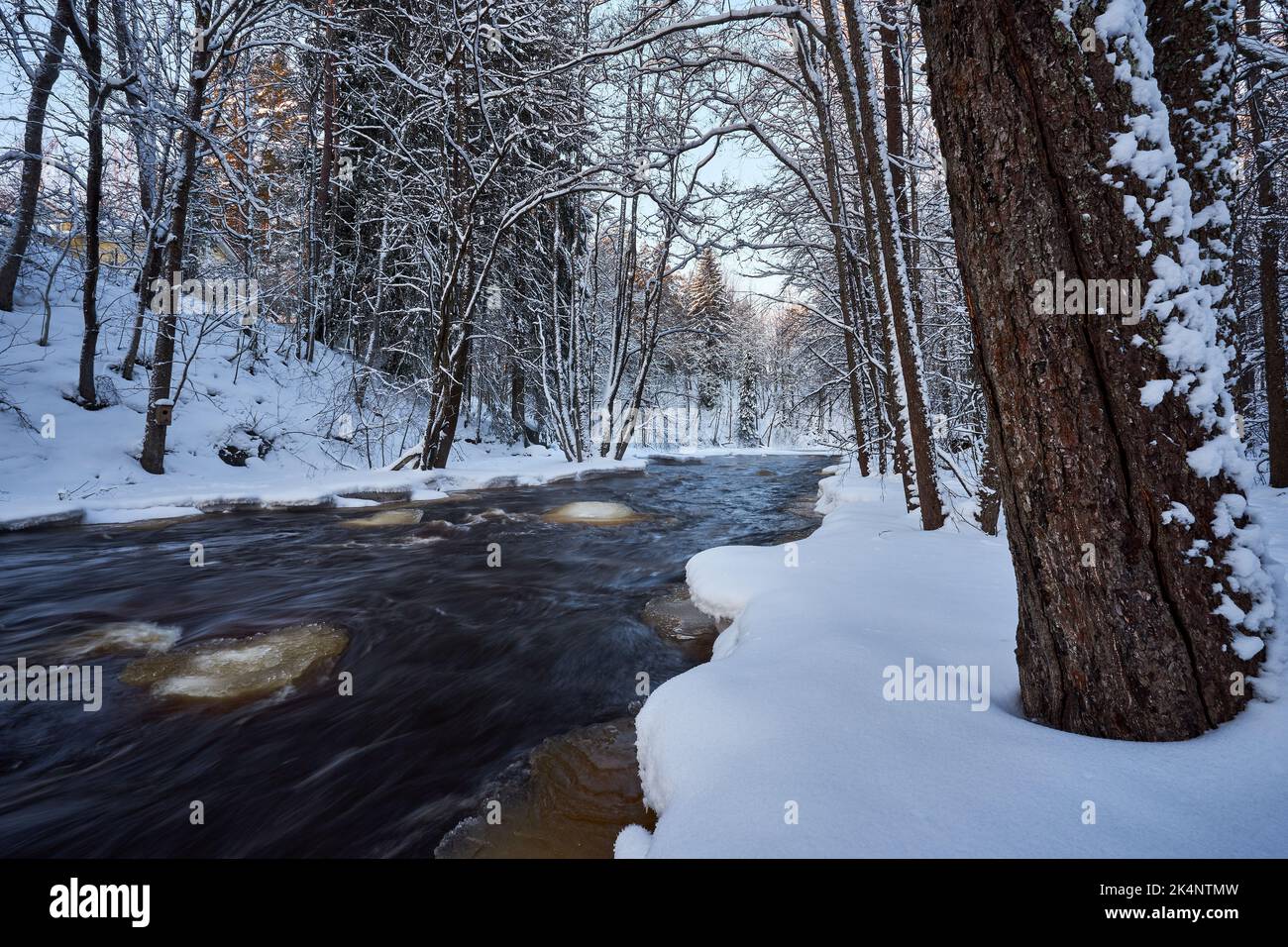 A long exposure shot of a river flowing over rocks in a forest covered ...