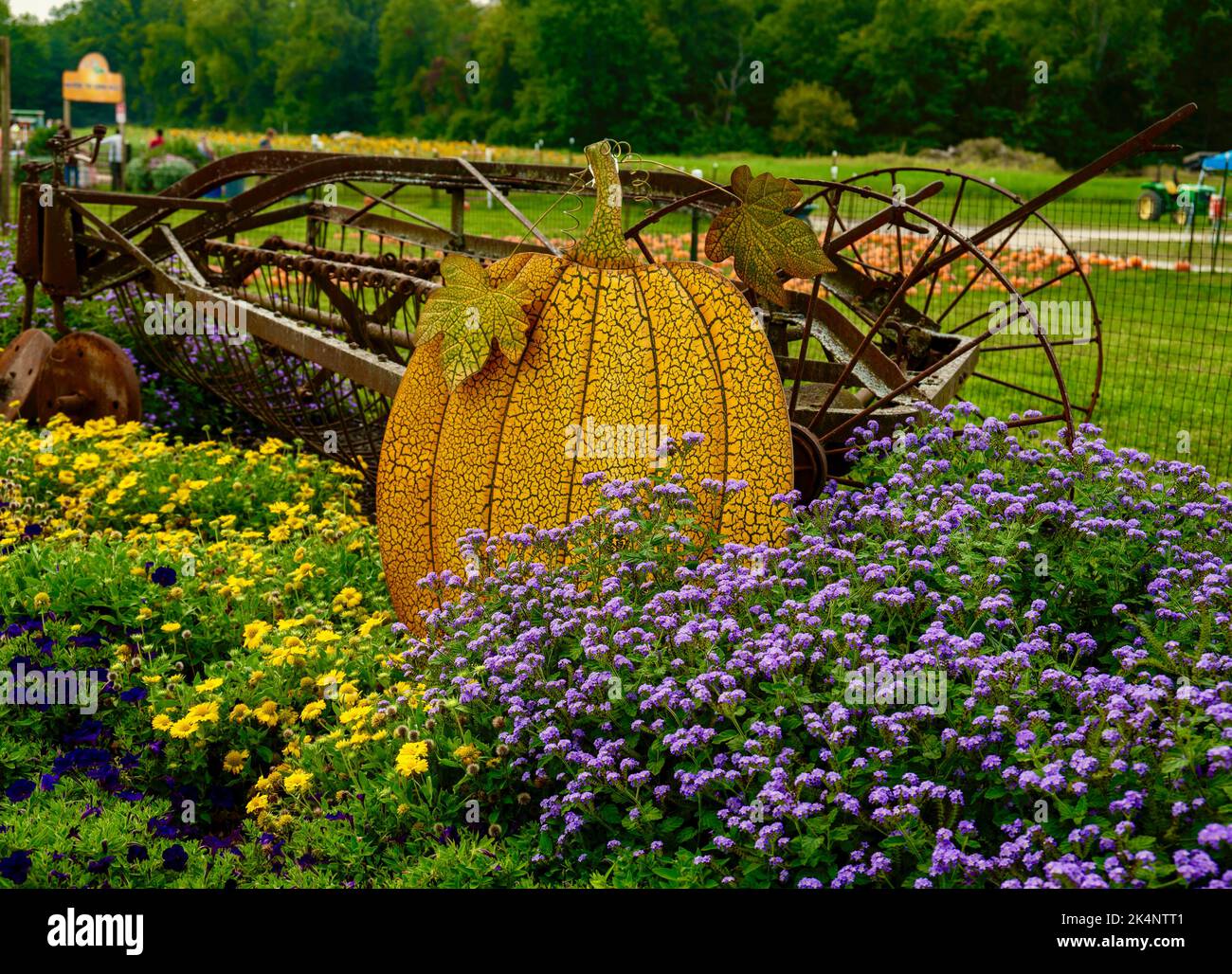 Fall scenes barn hi-res stock photography and images - Alamy
