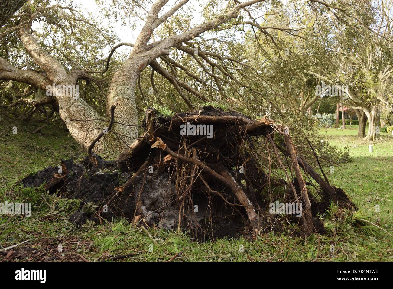 The aftermath of hurricane Ian, category 4, hitting southwest Florida ...