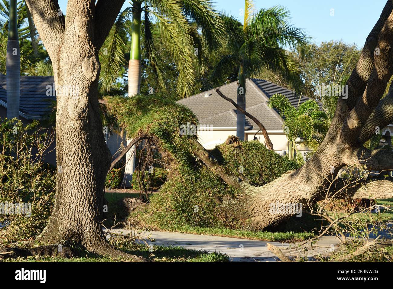 The aftermath of hurricane Ian, category 4, hitting southwest Florida ...