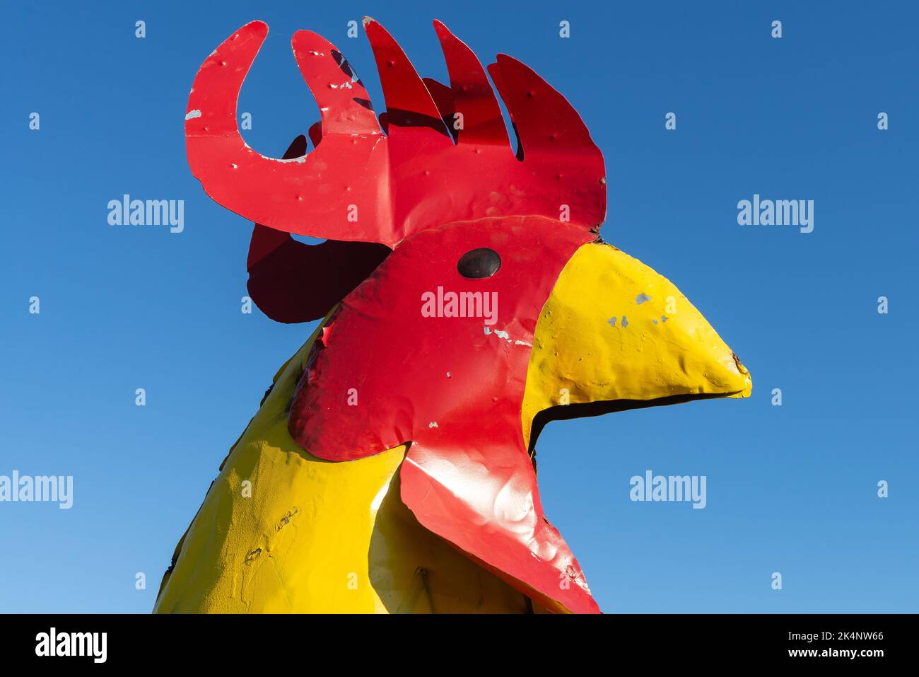 Ladd, Illinois - United States - October 3rd, 2022: Colorful chicken ...