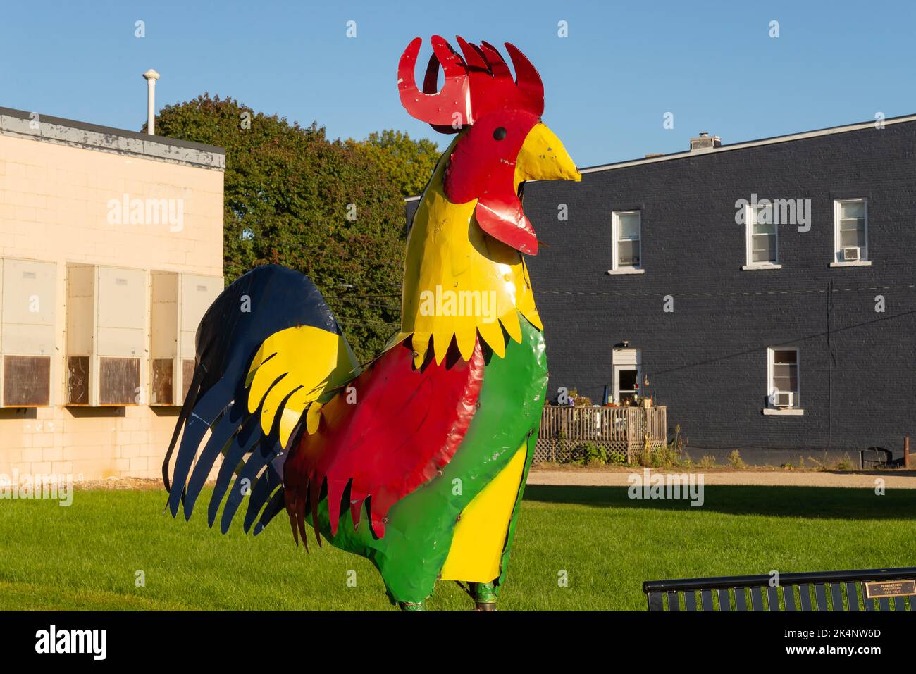 Ladd, Illinois - United States - October 3rd, 2022: Colorful chicken ...