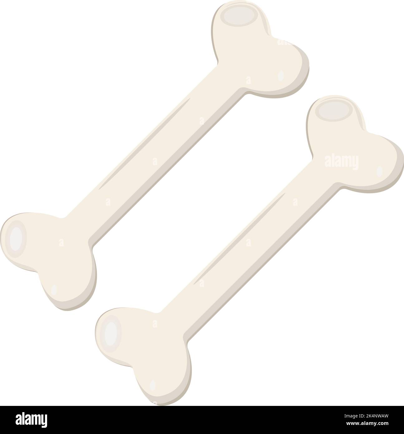 Two bones, illustration, vector on a white background Stock Vector ...