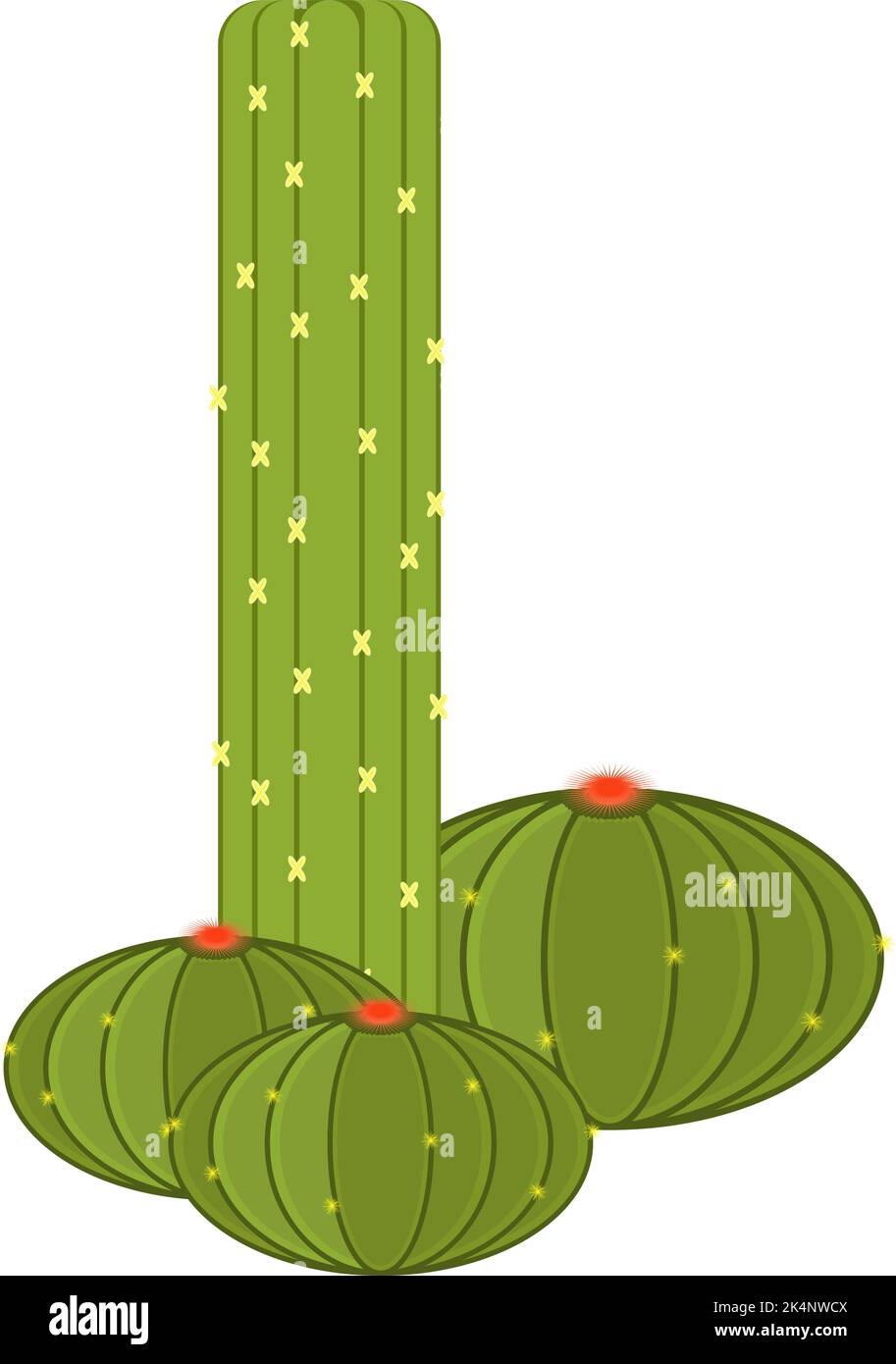 Flowers on succulent plant Stock Vector Images - Alamy