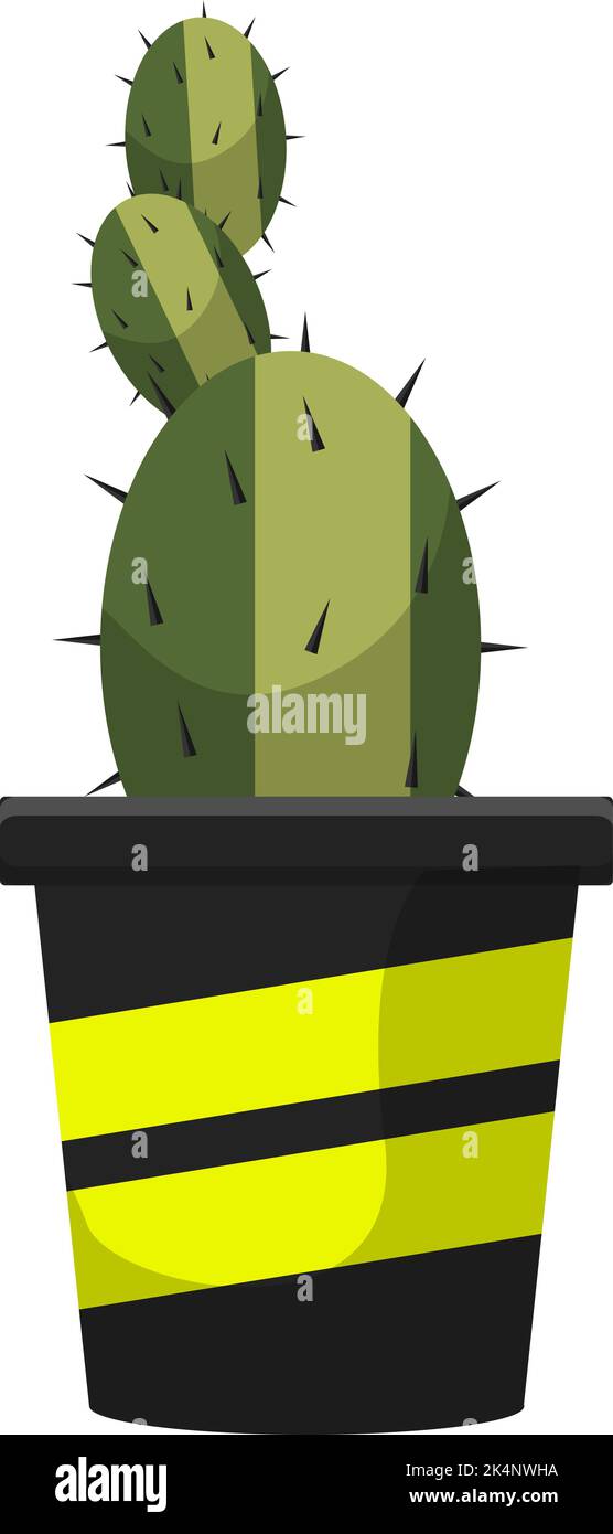 Spikey cactus in pot, illustration, vector on a white background Stock ...