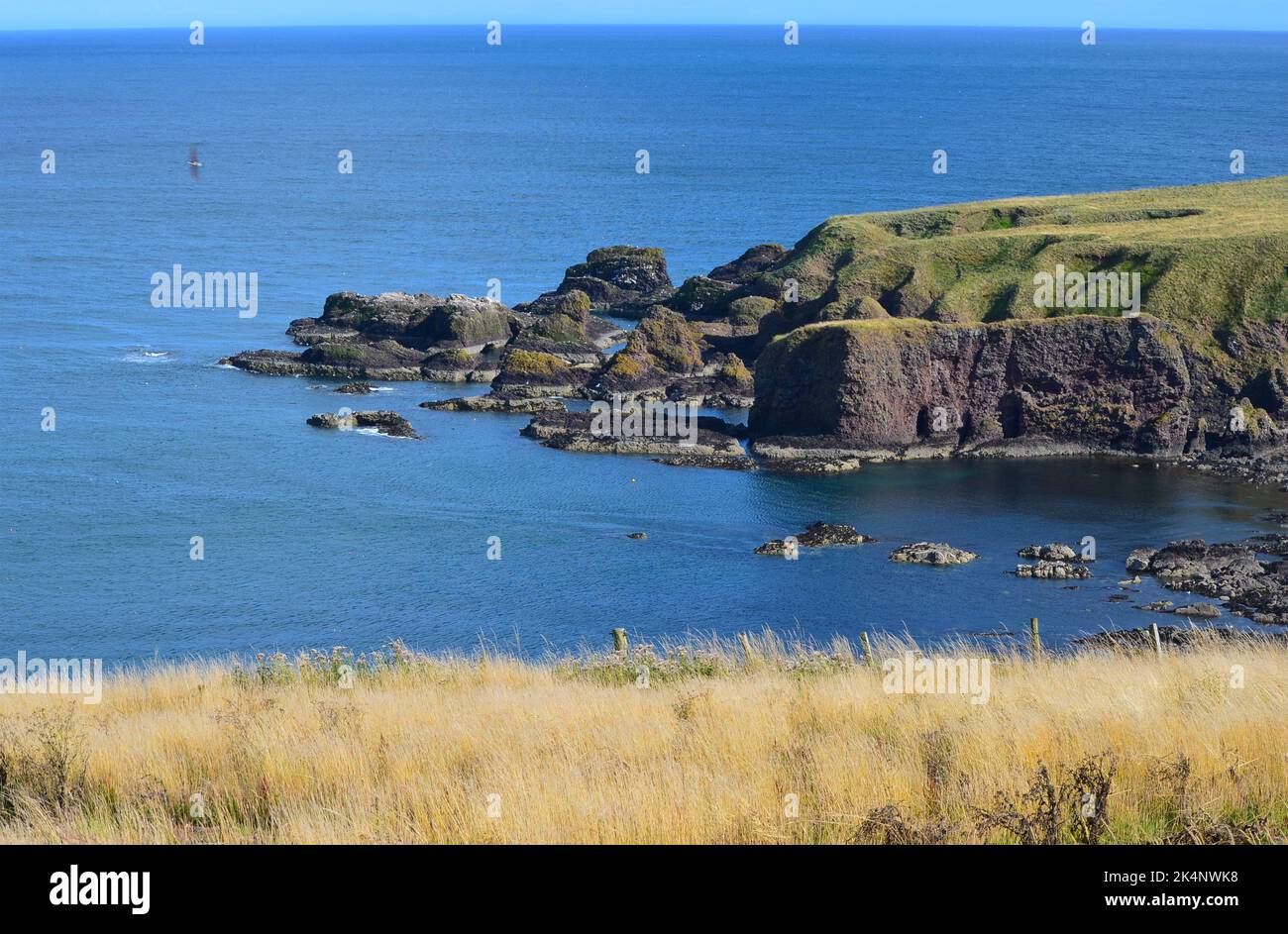 Sea cliffs along the coastal path for Dunottar Castle, Stonehaven ...