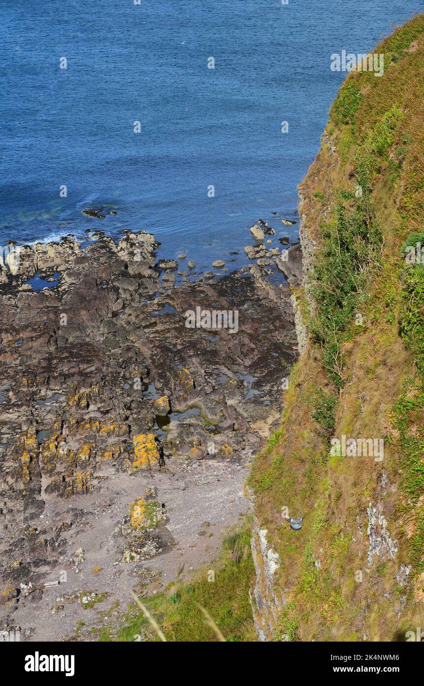 Sea cliffs along the coastal path for Dunottar Castle, Stonehaven ...