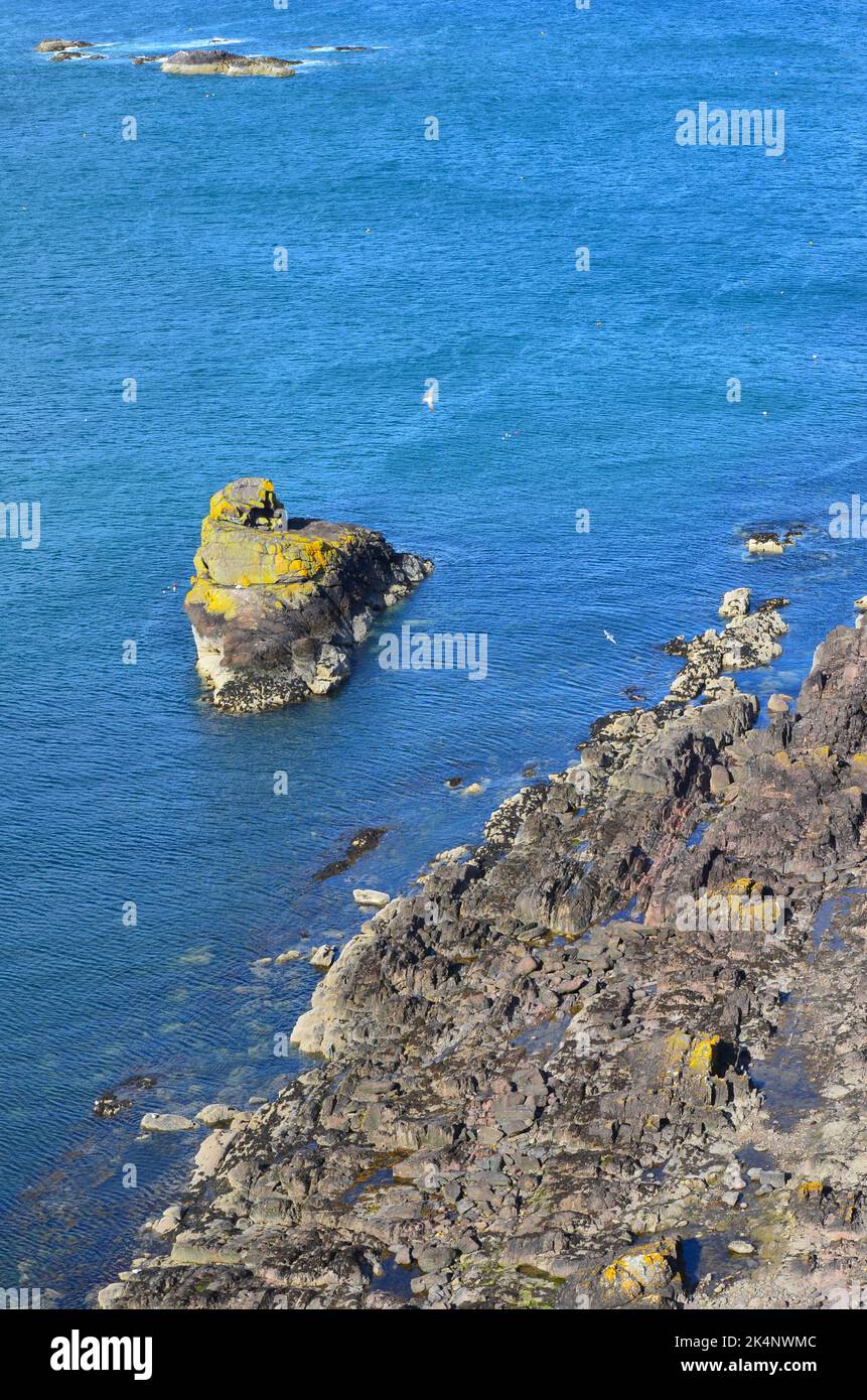 Sea cliffs along the coastal path for Dunottar Castle, Stonehaven ...