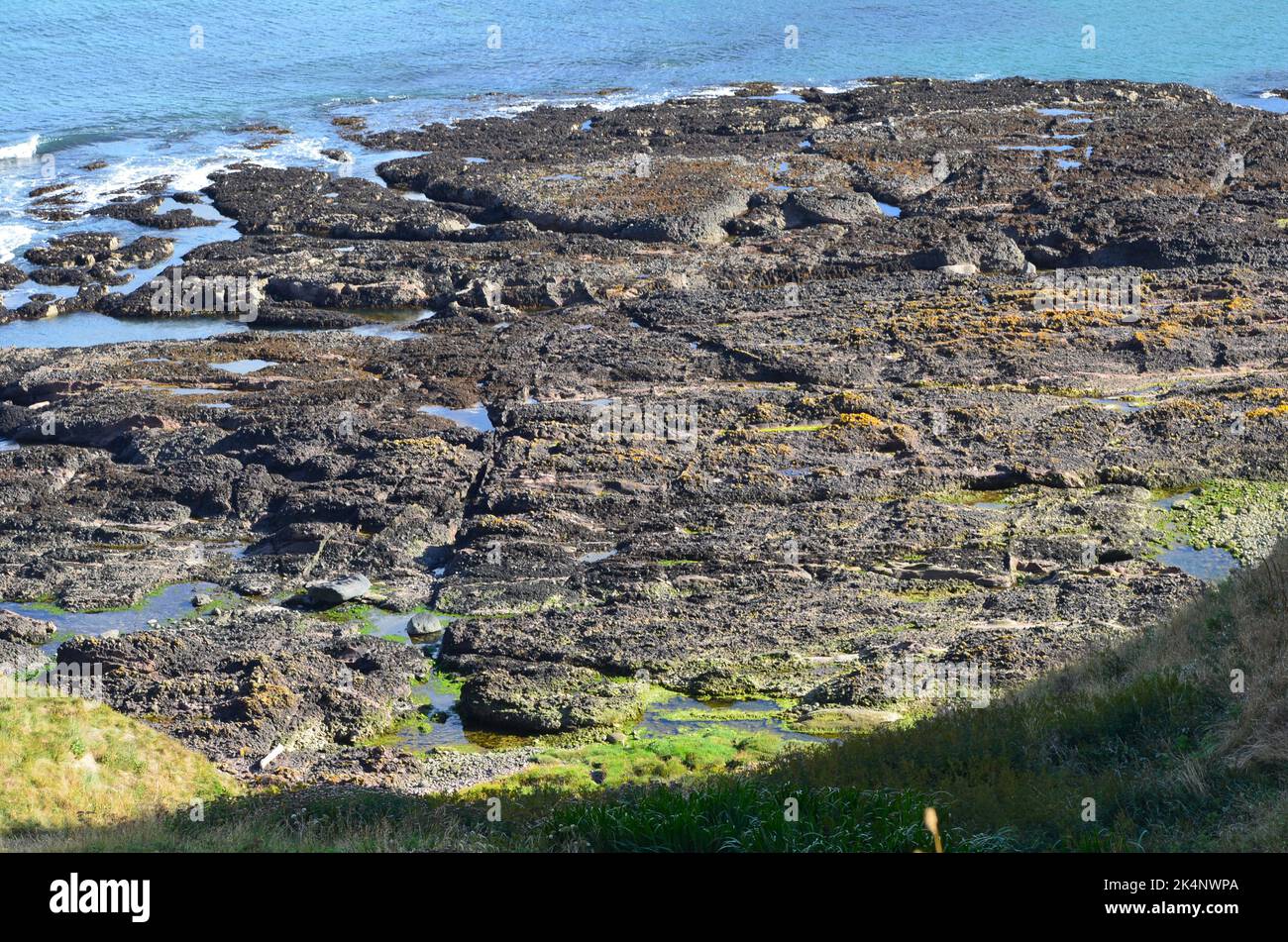 Sea cliffs along the coastal path for Dunottar Castle, Stonehaven ...