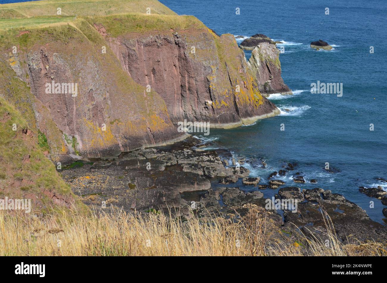 Sea cliffs along the coastal path for Dunottar Castle, Stonehaven ...