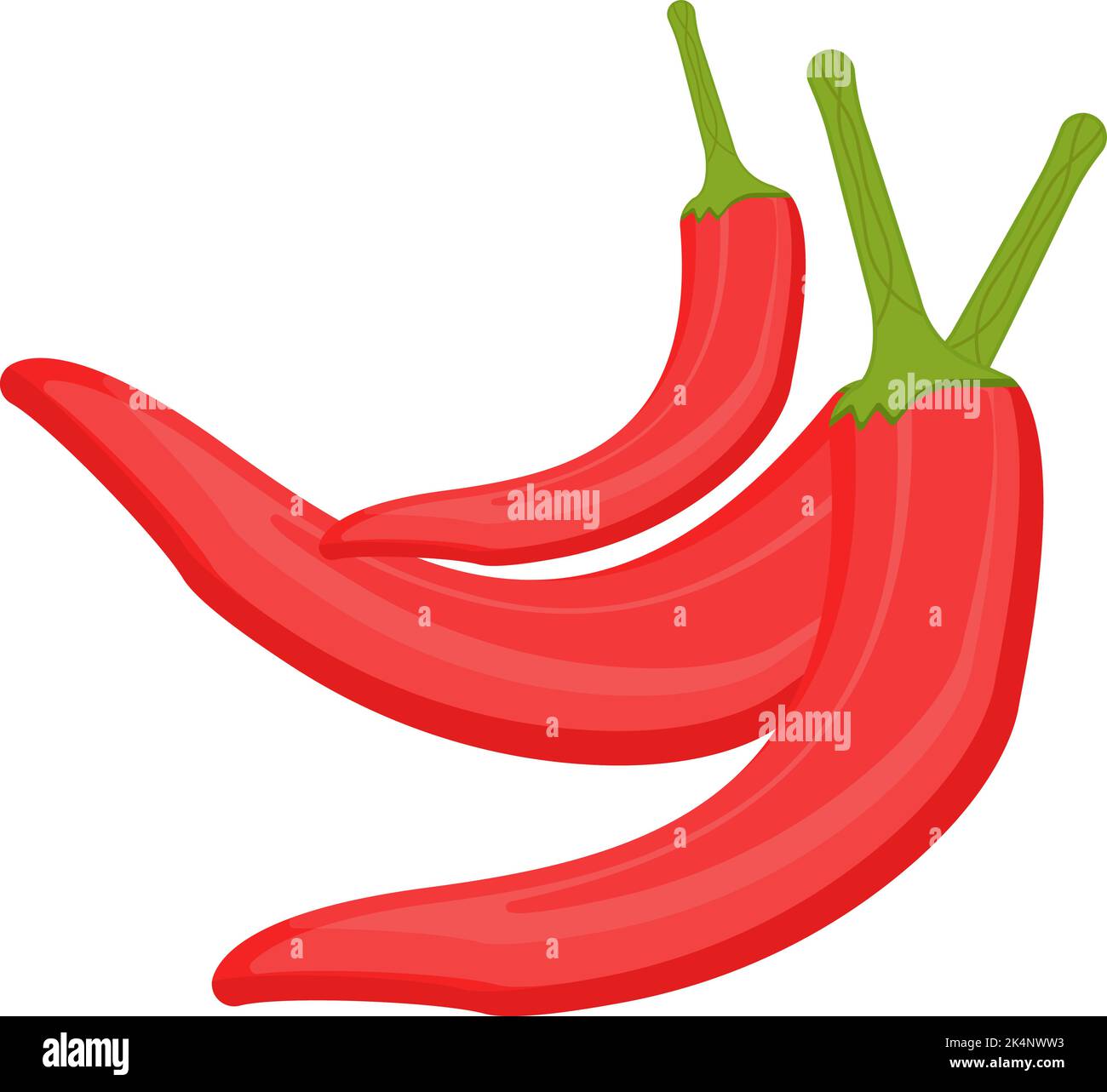 Chilli peppers, illustration, vector on a white background Stock Vector ...