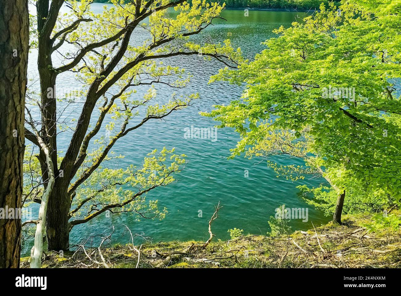 A beautiful pond in a park Stock Photo - Alamy