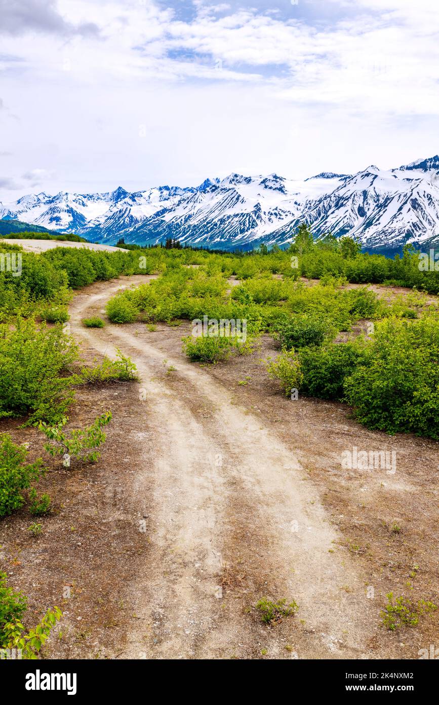 Dirt road leads to view west of Alsek Range; Tatshenshini Alsek ...