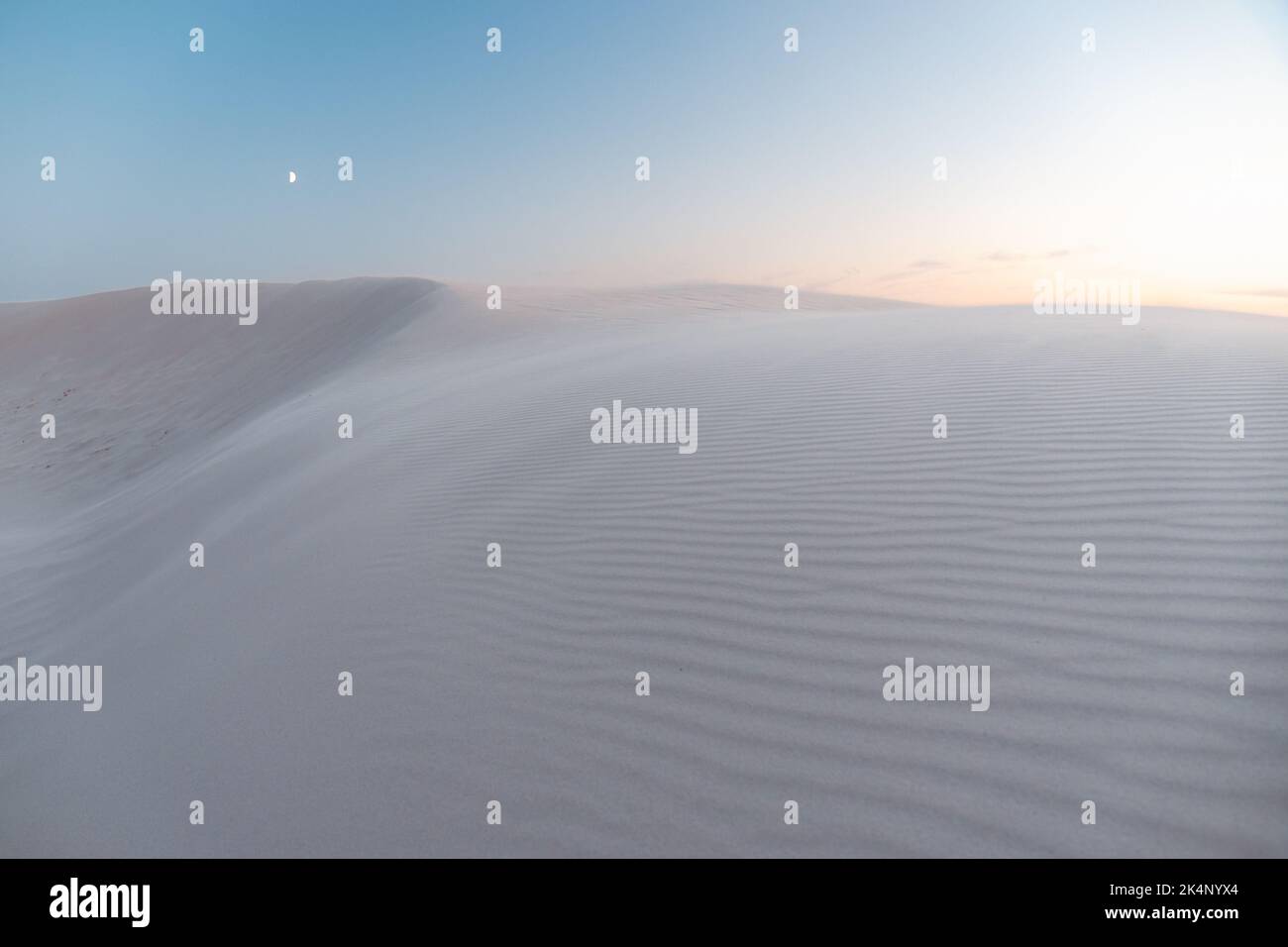 Desert sand dunes at sunset in Skagen, Denmark Stock Photo - Alamy
